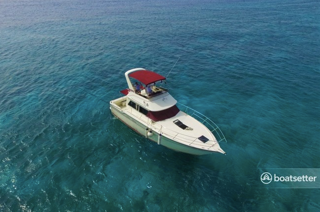 Rent a Sea Ray 35 on Boatsetter